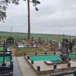 Садоводческое товарищество Мечта лесная (Bresckaja voblasć, Baranavicki District, Stalovicki Rural Council, ST Mara Liasnaja), bahçecilik dernekleri ve kuruluşları  Brestskaya oblastından
