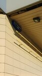 Цветы (Valentiny Tereshkovoy Street No:35Б), çiçekçiler  Lipetsk'ten