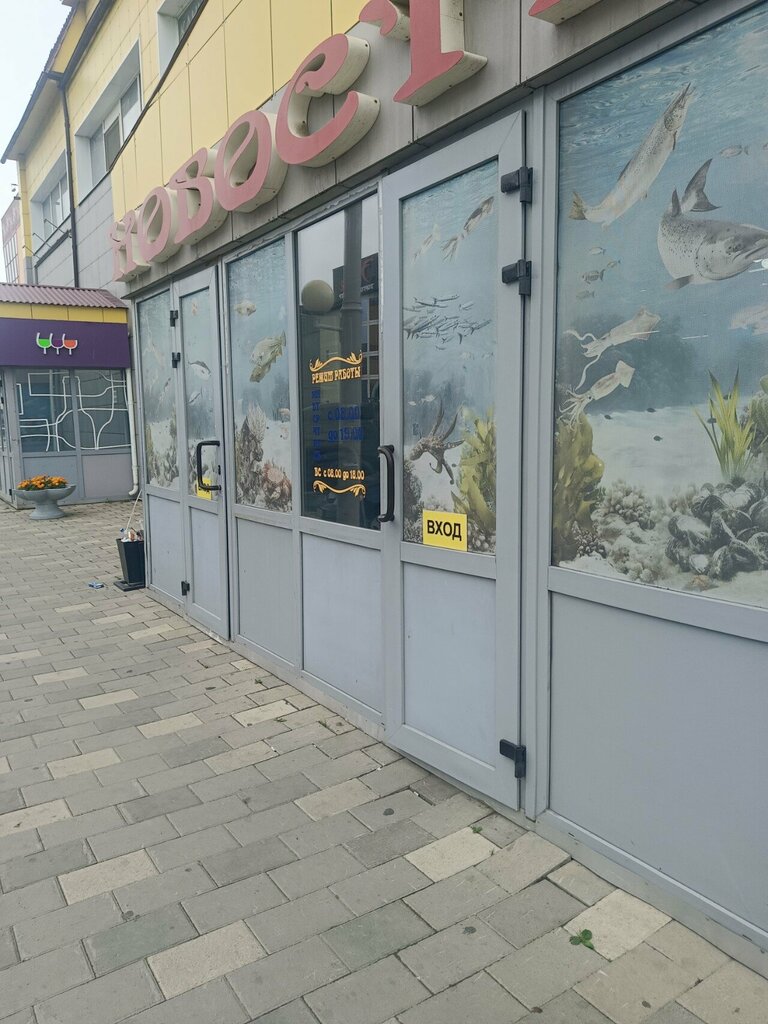 Ödeme terminali Payment terminal, Sakhalinsk, foto