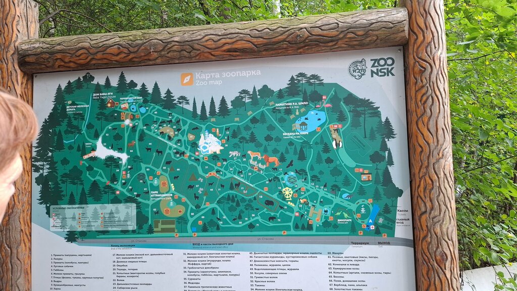 Hayvan muhafazaları Капибара, лемур, Novosibirsk, foto