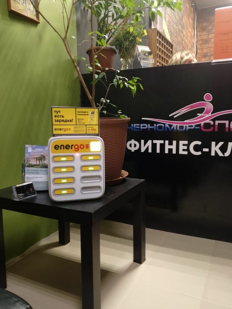 Şarj cihazı kiralama EnerGO, Soçi, foto
