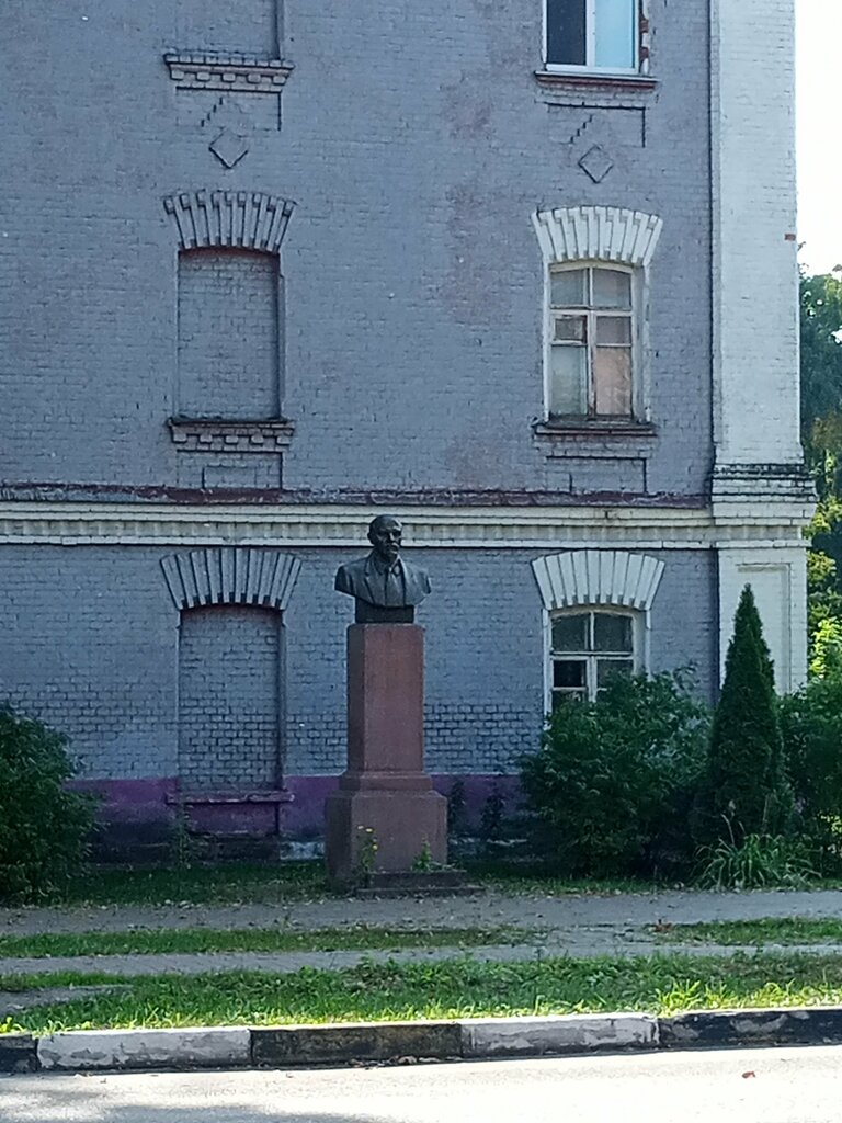 Anıt, heykel Бюст В.И. Ленина, Ramenskoye, foto