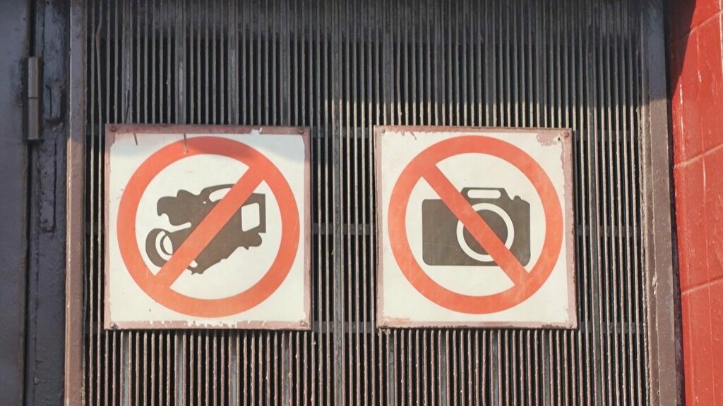 Evcil hayvan kuaförleri Salon Profesional, Moskova, foto