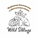 Wild Siblings (Bolshakova Street No:21), evcil hayvan yetiştiricileri  Yekaterinburg'dan