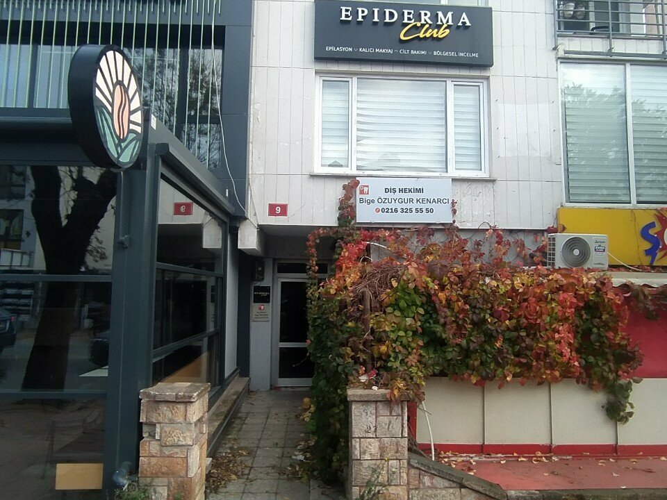 Özel ağız ve diş sağlığı klinikleri ve muayenehaneleri Diş Hekimi Bige Özuygur, İstanbul, foto