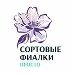 Фиалки (Lozhevaya Street No:131), çiçekçiler  Tula'dan