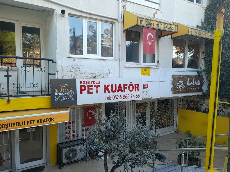 Kuaförler Kuaför Şenol Yiğit Hair Design, İstanbul, foto