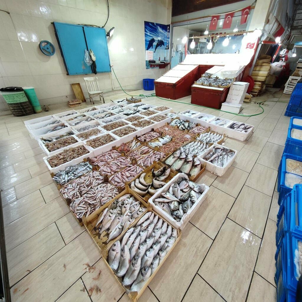 Balık ve deniz ürünleri Foça Belediyesi Balık Satış Yeri, Foça, foto