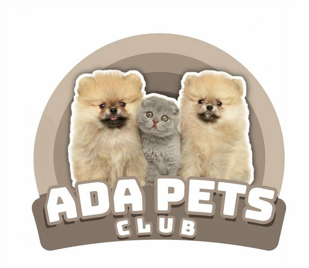 Petshop Ada Pets Club, Mersin, foto