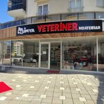 Yeşilkent Oto Tamir (Bursa, Yıldırım, Yiğitler Mah., C11. Sok., 89), otomobil servisi  Bursa'dan
