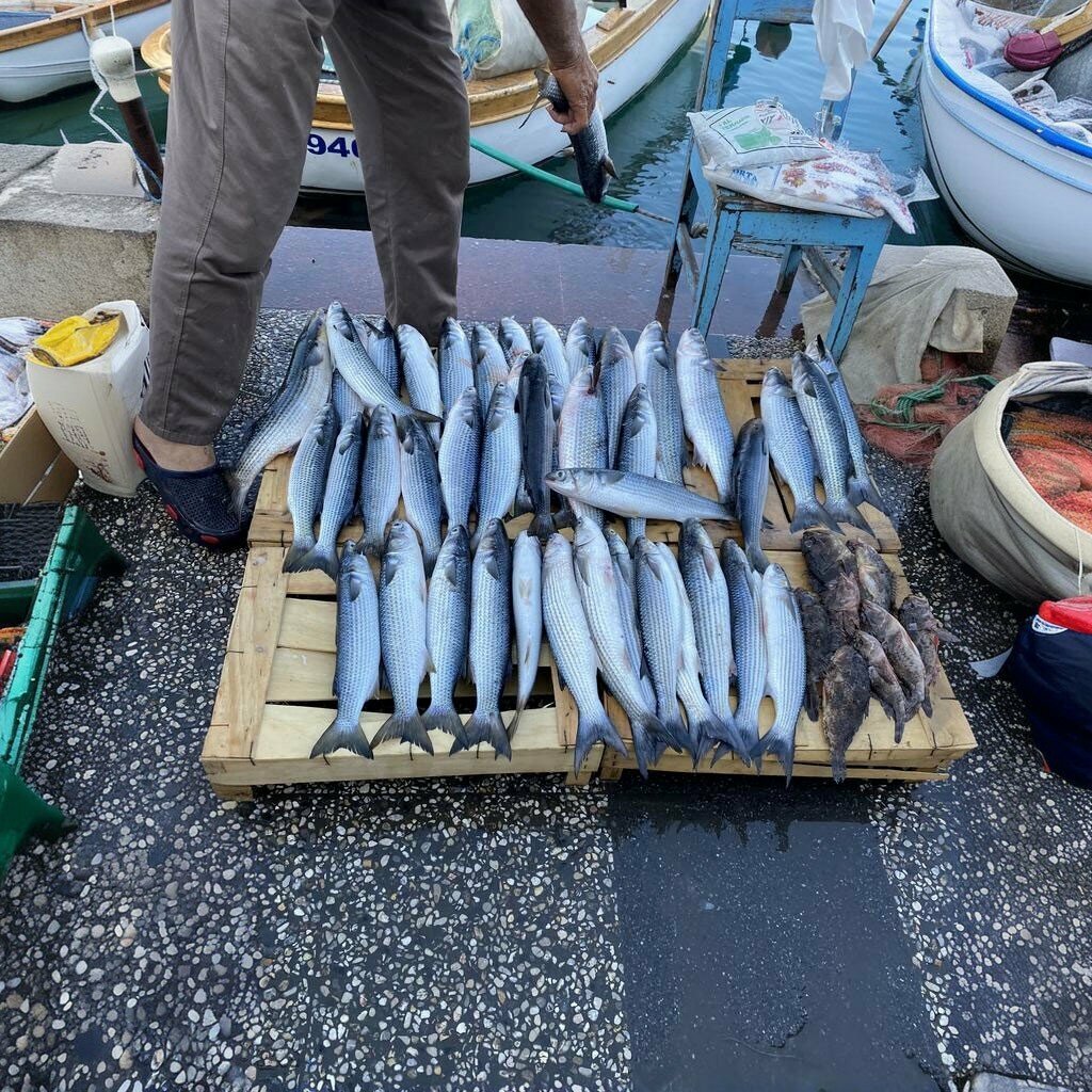 Balık ve deniz ürünleri Foça Belediyesi Balık Satış Yeri, Foça, foto
