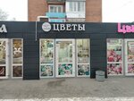 Элизия (ulitsa Krasny Put No:80Б/2), çiçekçiler  Omsk'tan