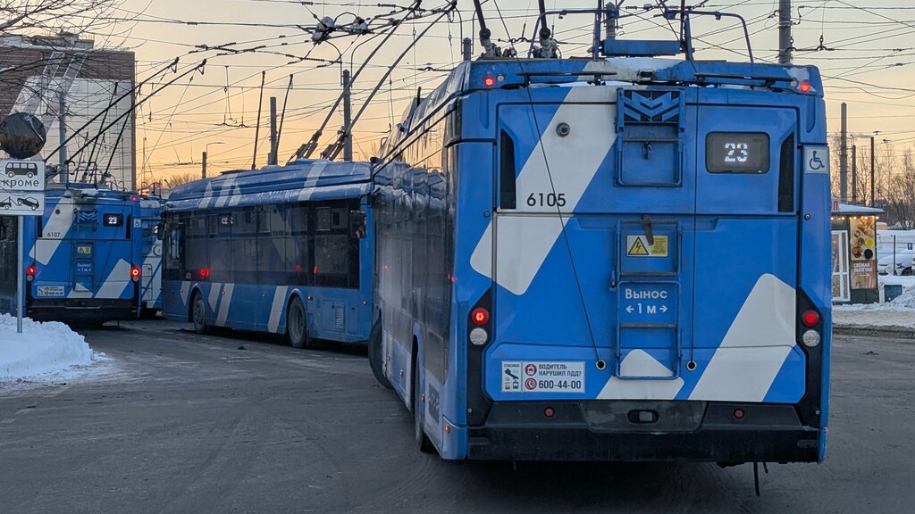 Toplu taşıma yönetimi ve bakımı Автобусная станция Старая Деревня, Saint‑Petersburg, foto