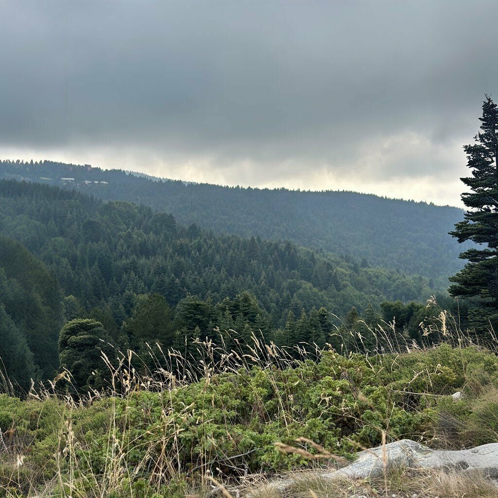 Hızlı ulaşım istasyonu Kurbağa Kaya Teleferik İstasyonu, Bursa, foto