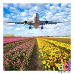 Air Cargo Integrators Fzc (Jumeirah Bay X2, JLT Cluster X, Jumeirah Lakes Towers, Al Thanyah 5, Al Thanyah, Hadaeq Mohammed Bin Rashid, Dubai), helitaksiler  Dubai'den