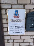 Ясмин (Solnechnaya ulitsa No:23, selo Bolshaya Chernigovka), özel ağız ve diş sağlığı klinikleri ve muayenehaneleri  Samarskaya oblastından