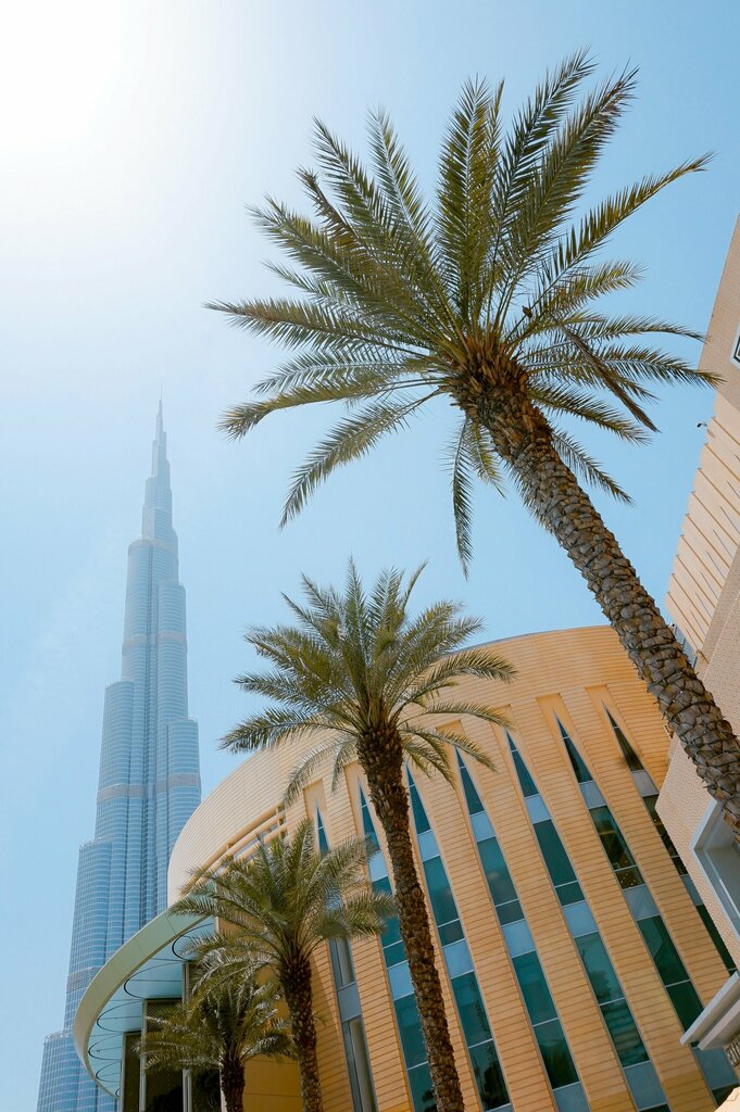 Emlak ofisi Top Rated Real Estate, Dubai, foto