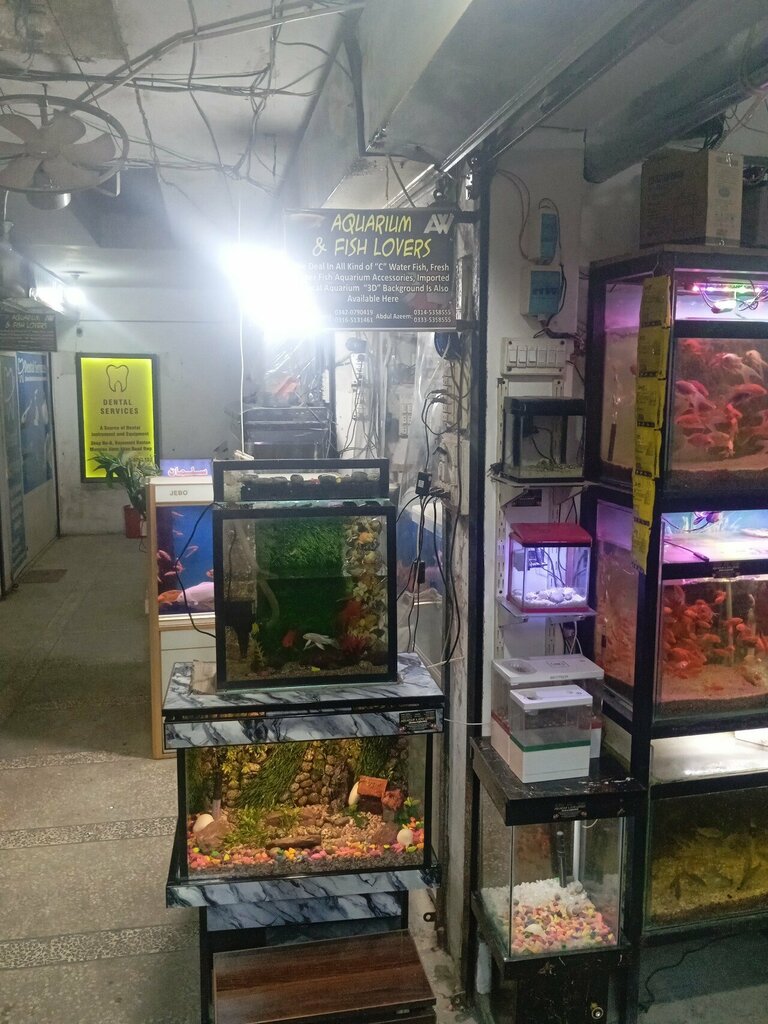 Petshop Aquarium & Fish Lover, Rawalpindi, foto