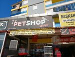 Pet shop Azelya (Antalya, Kepez, Şehit Astsubay Ömer Halis Demir Cad., 1A), petshop  Antalya'dan