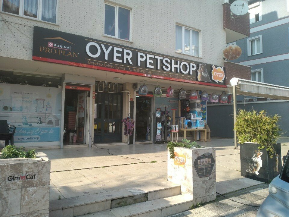Restoran Safiye'nin Ev Yemekleri, İstanbul, foto