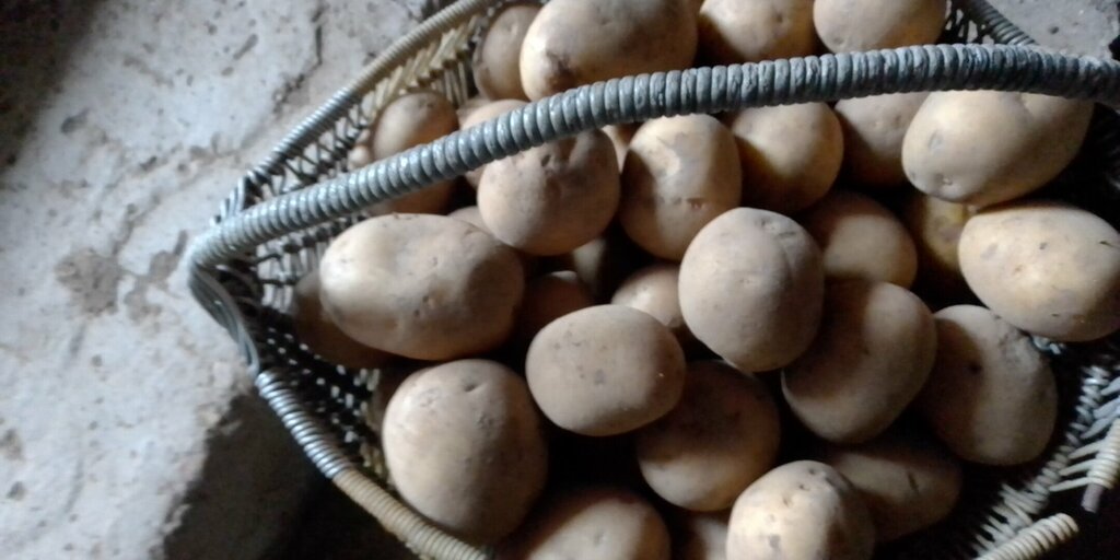 Tarım firmaları Цнянские экопродукты, Minskaya oblastı, foto