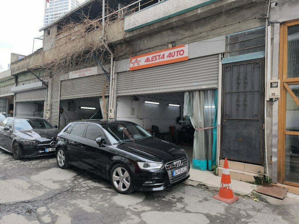 Otomobil servisi Alesta Auto, İstanbul, foto