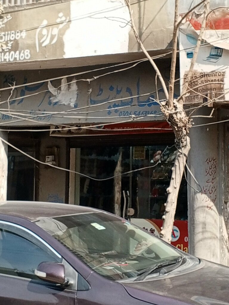 Boya ve cila malzemeleri üretim ve satış yerleri Hammad Hardware & Paint Store, Rawalpindi, foto