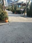 Tek peyzaj (Aşağı Yahyalar Mah., Yenimahalle, Ankara), peyzaj tasarımı  Ankara'dan