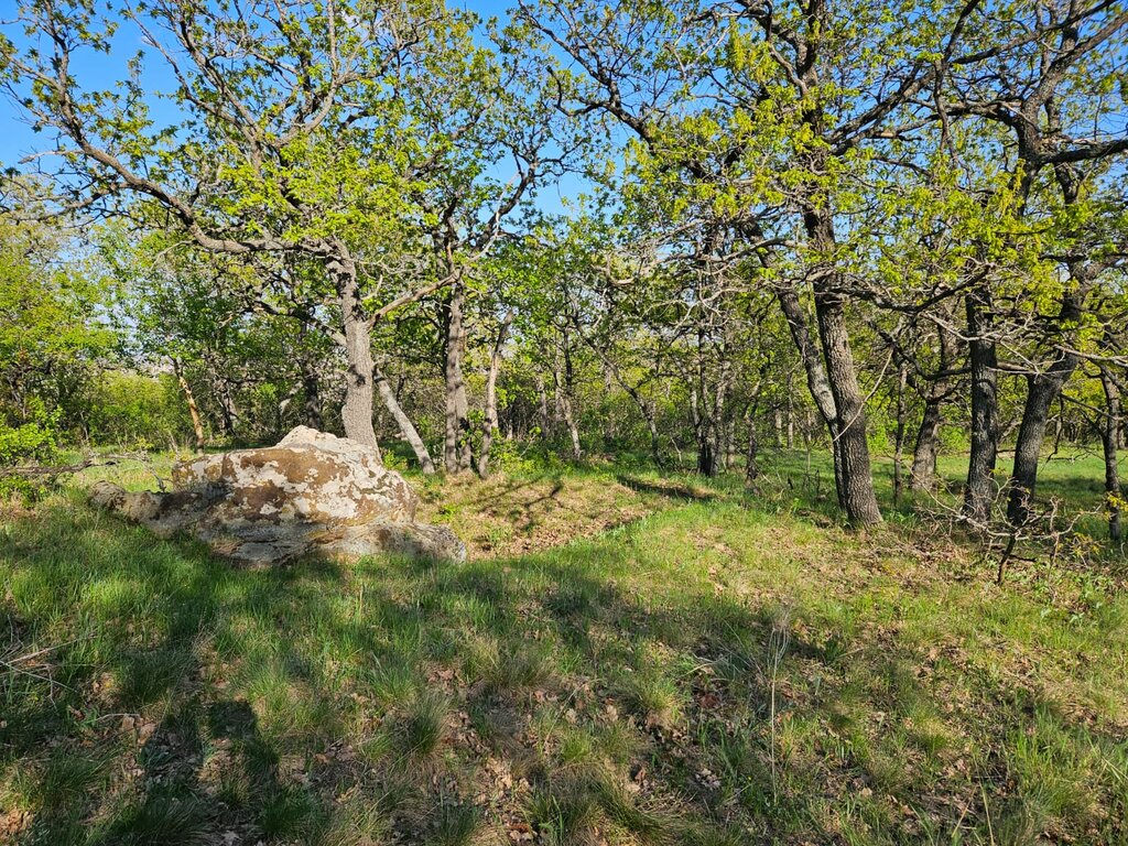 Doğa Белый камень, Volgogradskaya oblastı, foto