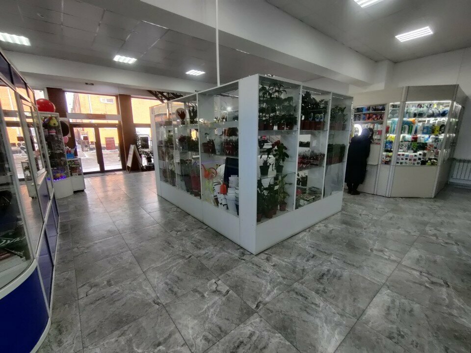 Tohum satan yerler Vesnaflover, Pavlodar, foto