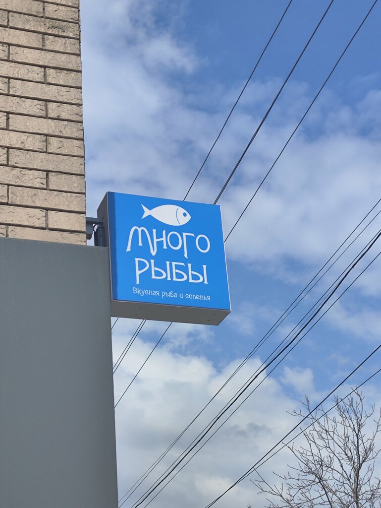 Balık ve deniz ürünleri Много рыбы, Rostov‑na‑Donu, foto