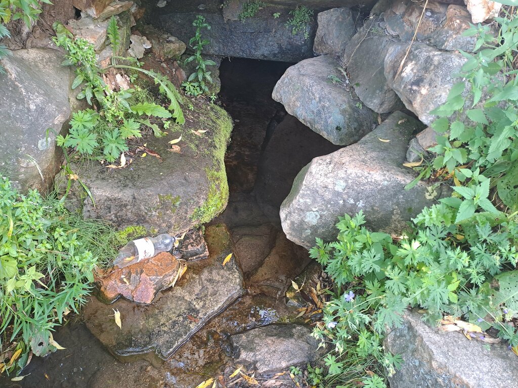 Pınar, çay Spring, stream, Altayski krayı, foto