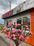 Эстетика цветов (Republic of Bashkortostan, Kumertau, Babayevskaya ulitsa), çiçekçiler  Kumertau'dan