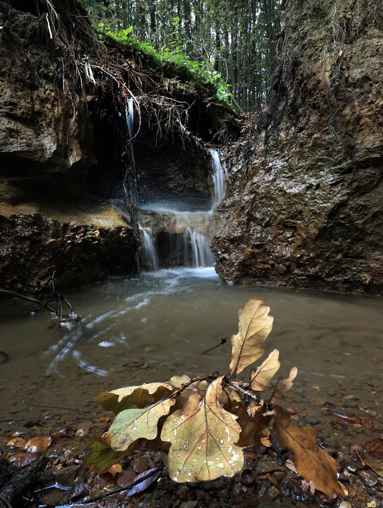 Şelale Spring, stream, Moskova, foto