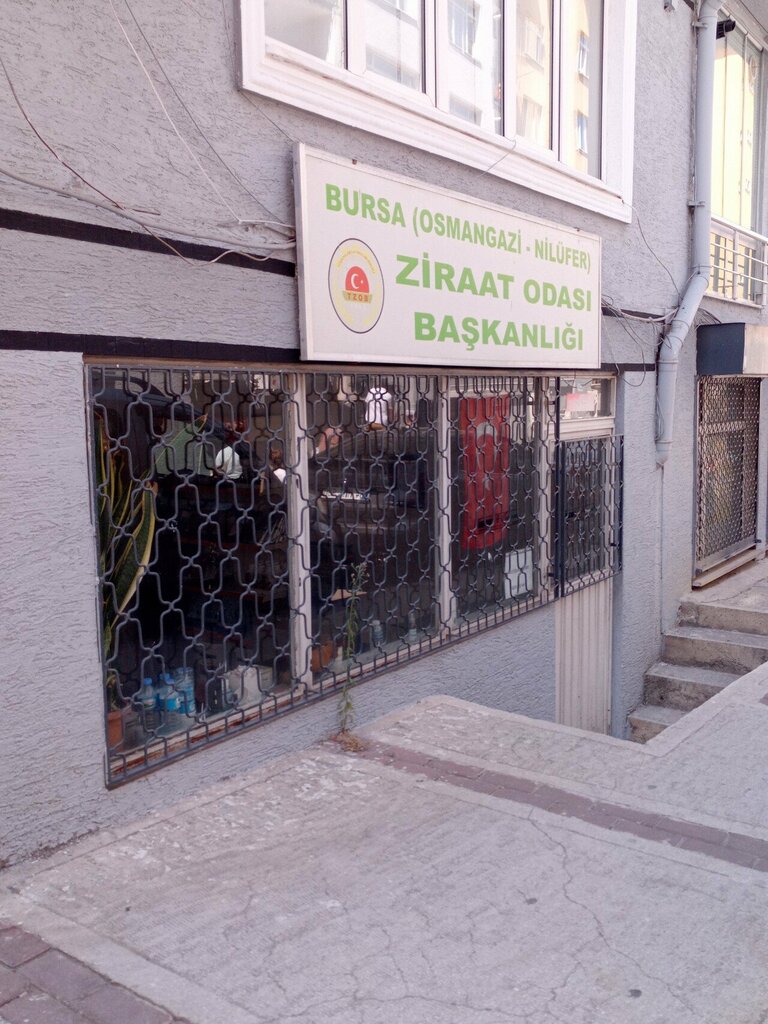 Dernekler, birlikler Ss Yağlı Tohumlar Tarım Satış Kooperatifi, Bursa, foto