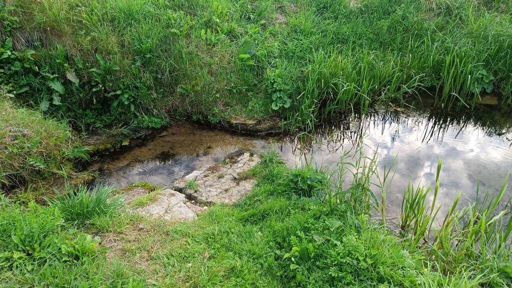 Pınar, çay Spring, stream, Pskovskaya oblastı, foto