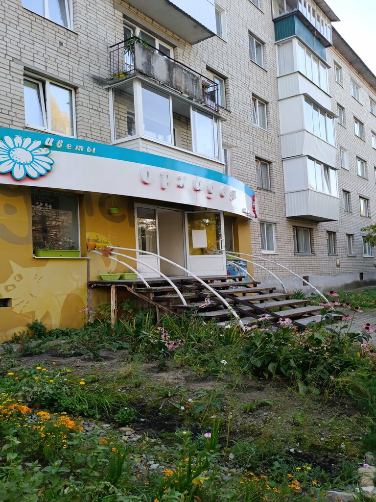 Çiçekçiler Орхидея, Zareçny, foto