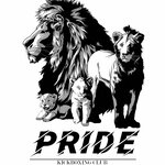 Pride (Ostrovskogo Lane No:62), spor kulüpleri  Rostov‑na‑Donu'dan