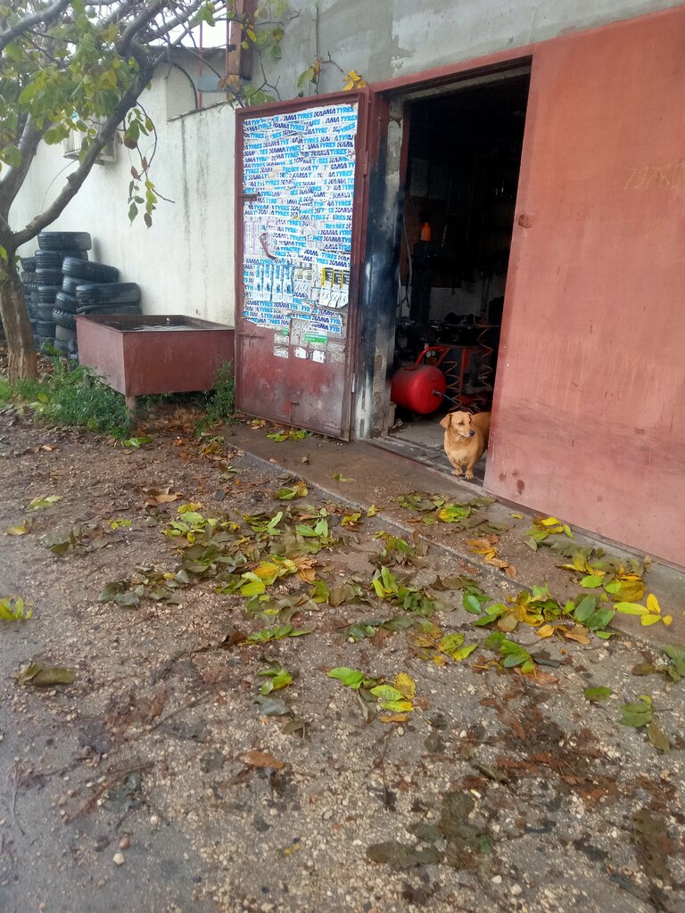 Oto lastik tamiri Шиномонтаж, Sevastopol, foto