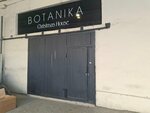 Botanika Christmas House (Aerodrome Street No:168), yapay çam ağaçları ve süsleri  Krasnodar'dan