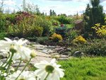 Landshaftny park Pomestye (Permskiy munitsipalny okrug, territoriya Shirkovo), sera ve bahçe ürünleri  Permski krayından