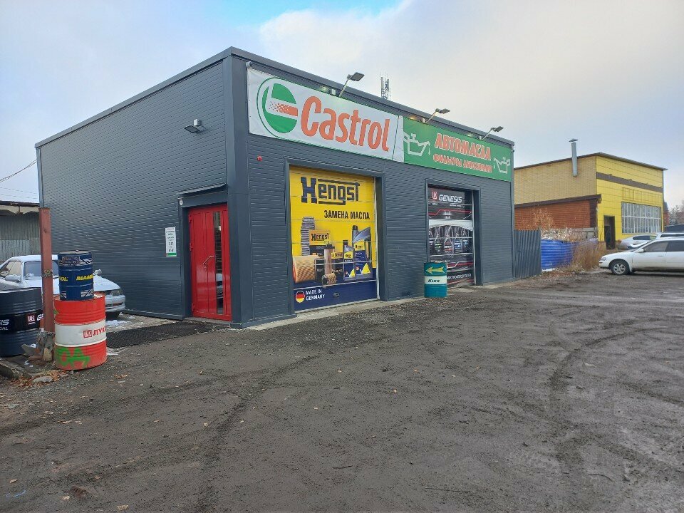 Otomobil yedek parçaları Кострол-сервис, Omsk, foto