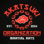 Akatsuki Organization (ulitsa Truda No:1, mikrorayon KSM), spor kulüpleri  Soçi'den
