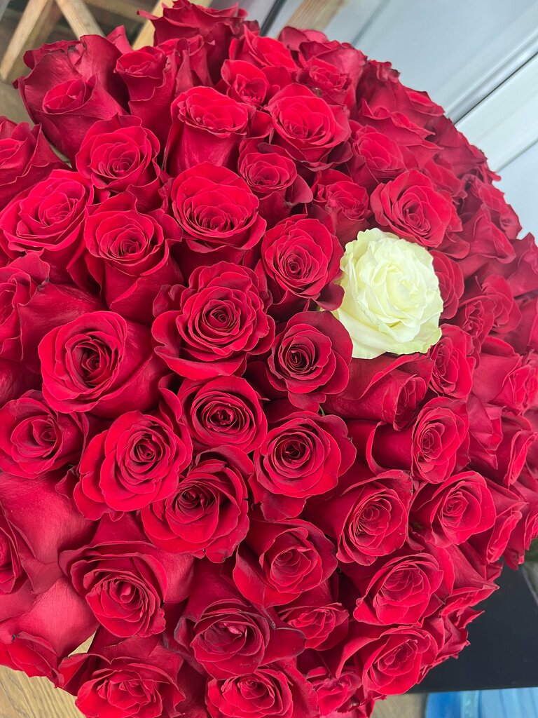 Çiçekçiler Цветы Лилит, Tataristan, foto