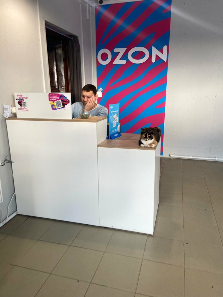 Teslimat noktası Ozon, Moskova ve Moskovskaya oblastı, foto