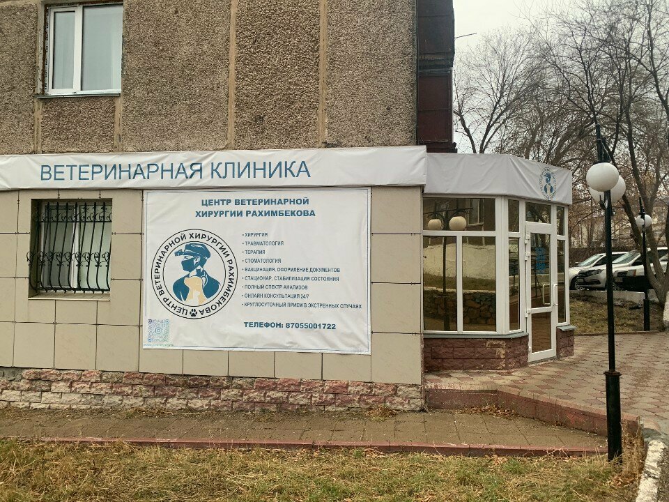 Veteriner klinikleri Rakhimbekov veterinary surgery center, Temirtav, foto
