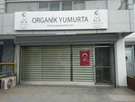 Ece Organik Yumurta (Ataşehir Mah., 8221 Sok., No:30/D, Çiğli, İzmir), kanatlı hayvan ürünleri ve yumurta  İzmir'den