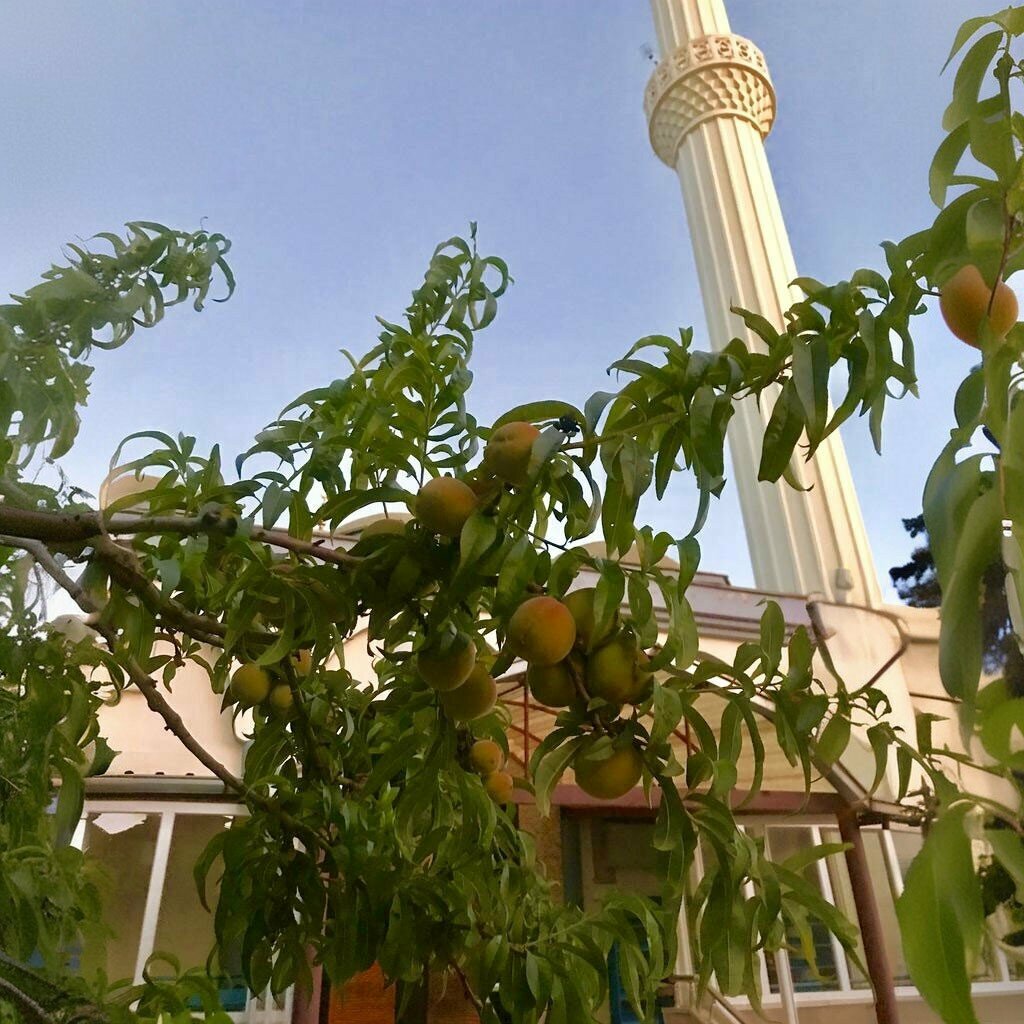 Cami Mimar Sinan Cami, Bucak, foto