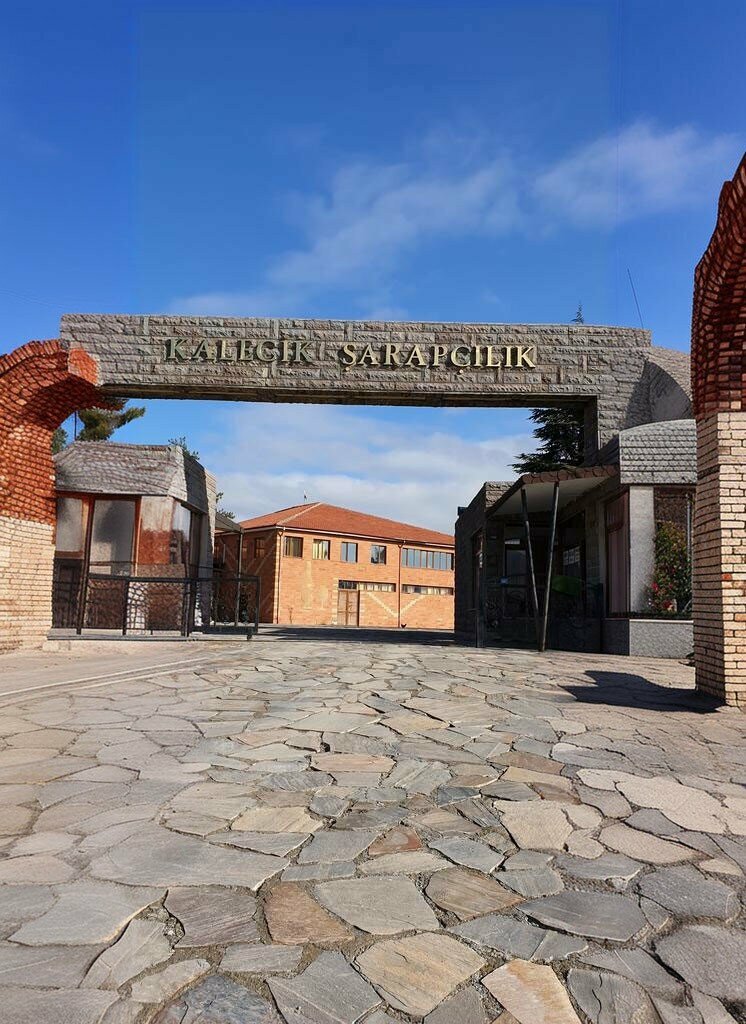Şarap ve içki toptan satışları Chateau Kalecik, Kalecik, foto