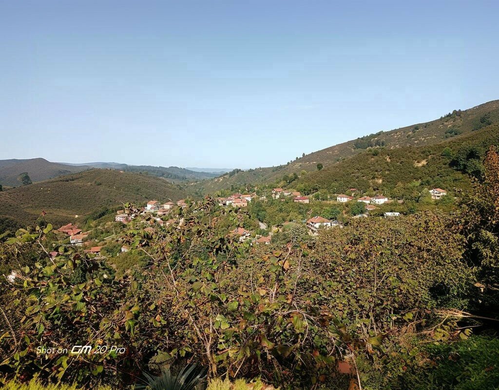 Muhtarlıklar Küpler Köyü Muhtarlığı, Akçakoca, foto